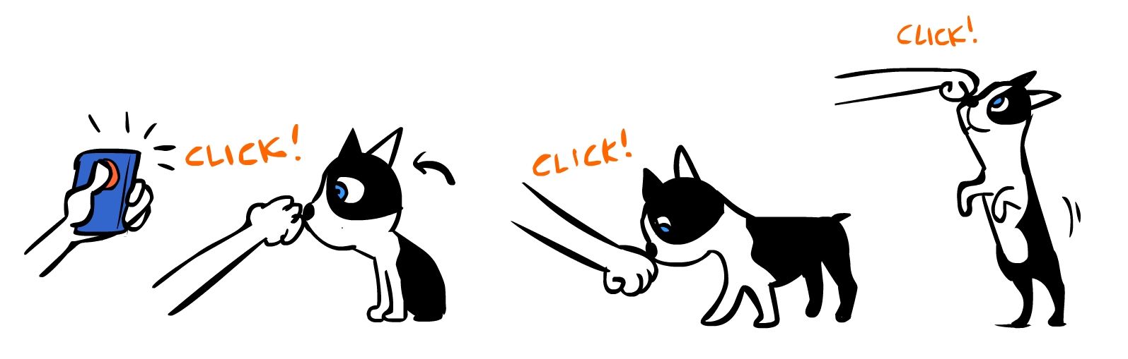 clicker training – AlfaDog Training Academy
